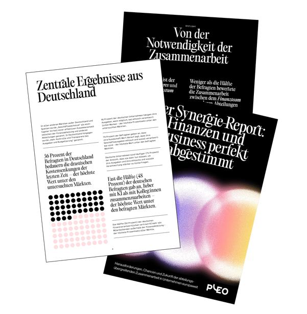 5 neue Pleo-Features für die Zukunft - Pleo Blog